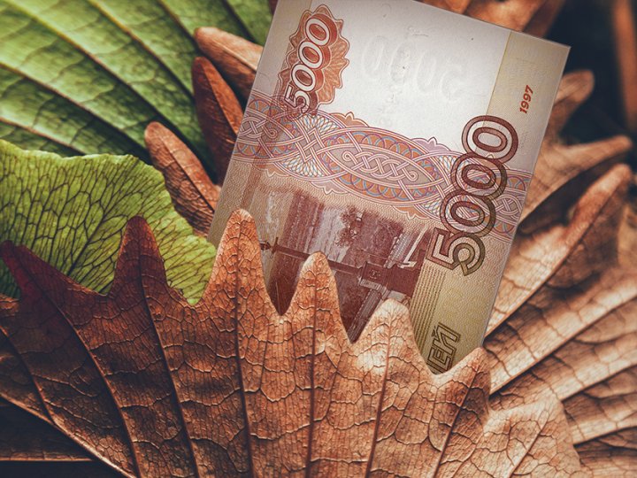 В Узбекистане опубликовали курс иностранных валют на 4 сентября Upl